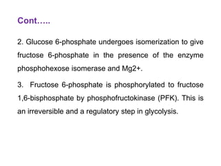 Metabolism of Carbohydrate - Part-II.pptx