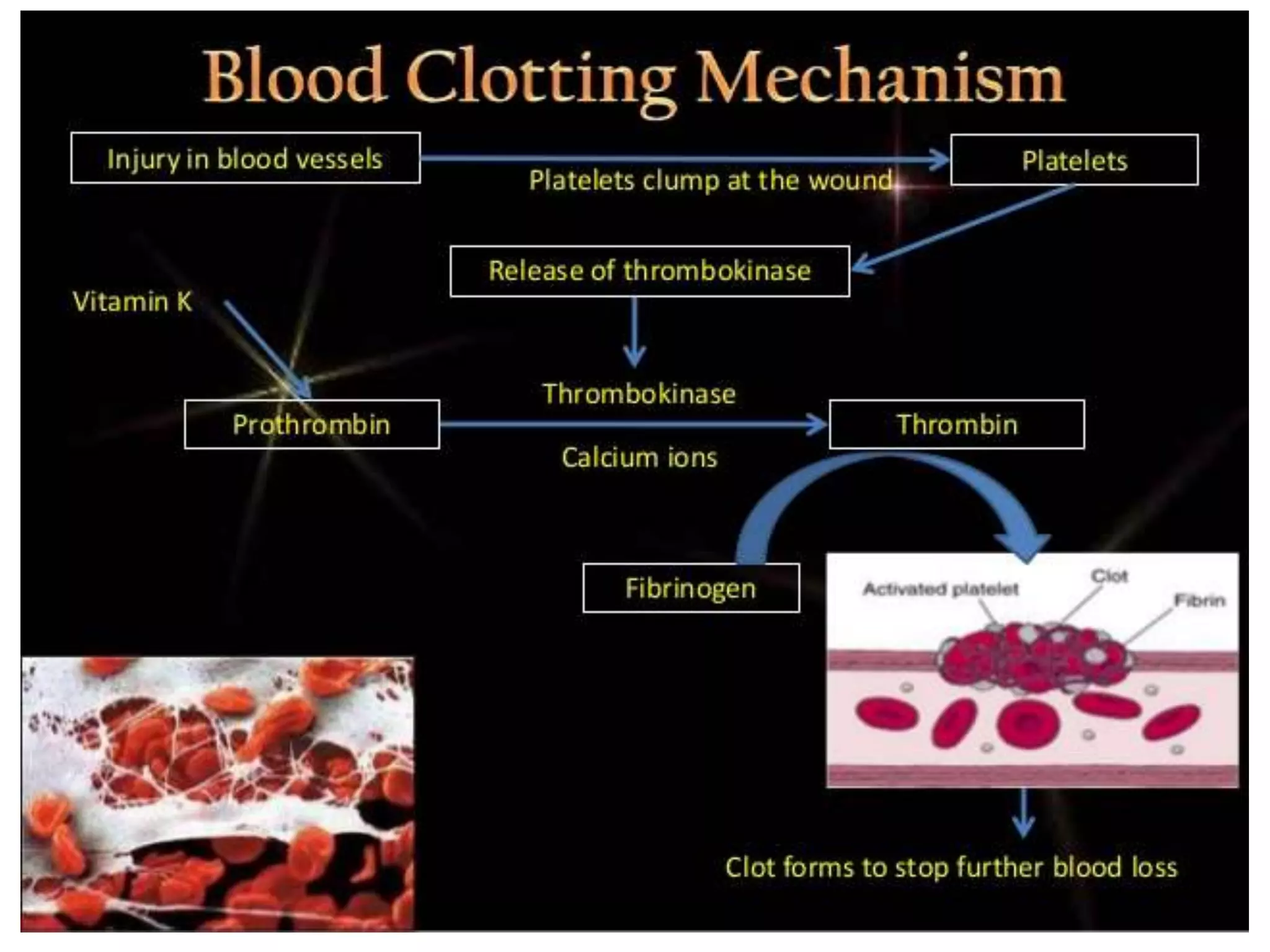 6. BLOOD CLOTTING MECHANISM.pptx
