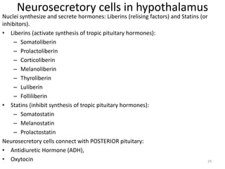 6.Hormones_common.pdf