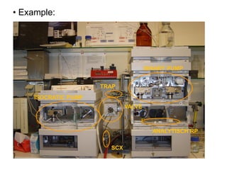 6. Short Reverse Phase-HPLC(2).pdf