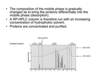 6. Short Reverse Phase-HPLC(2).pdf