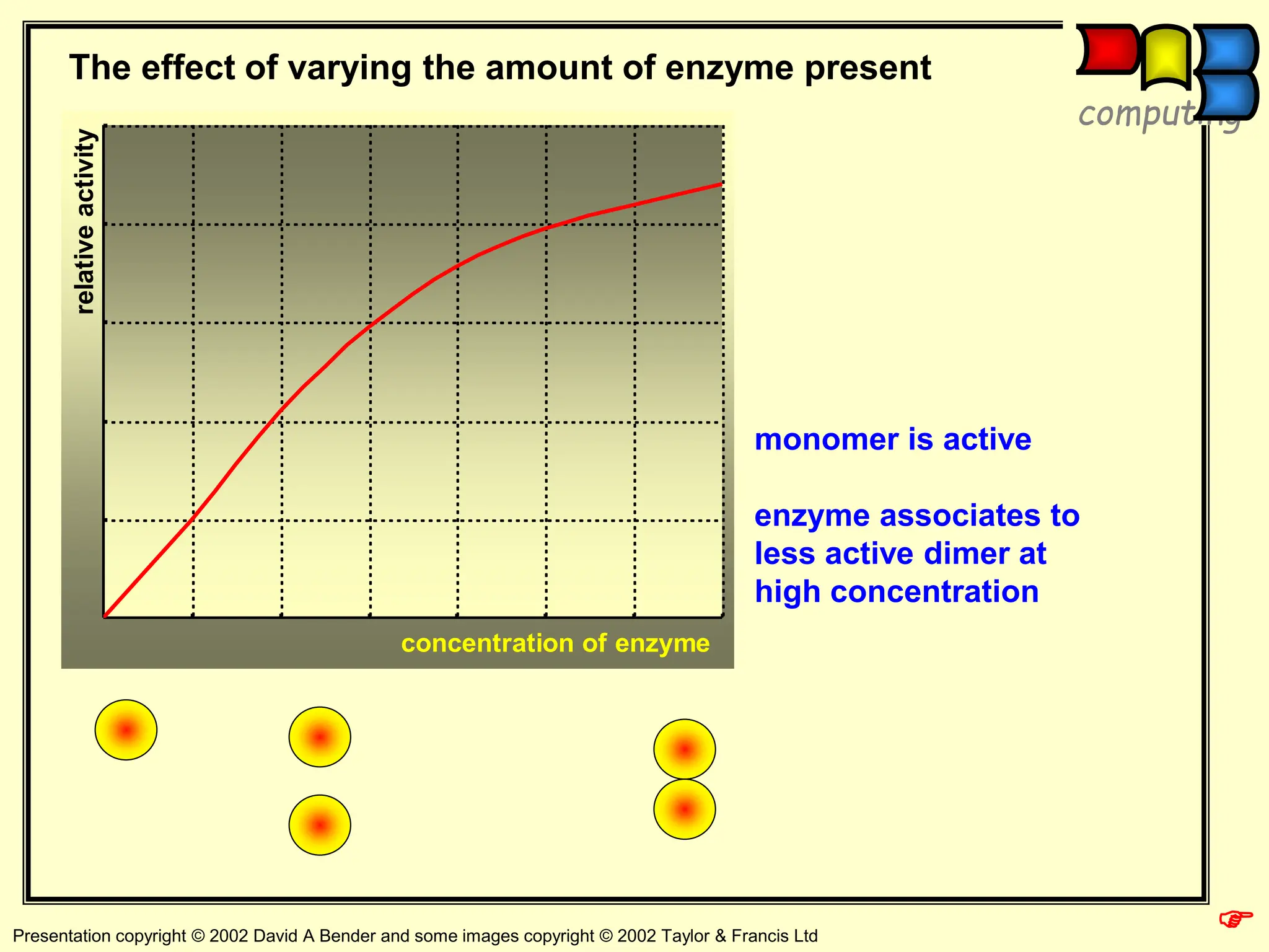 6. ENZIM.ppt