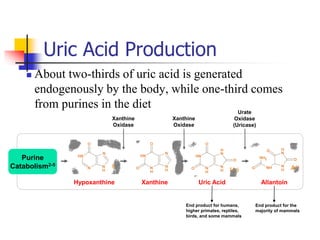 6. Gout pharmacology | PDF