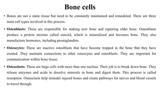 6. Gene therapy for MSK Disorders BONE.pptx