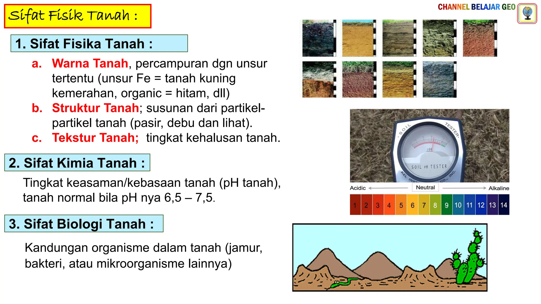 6. Pedosfer pembentukan profil tanah jenis dan konservasi tanah | PDF