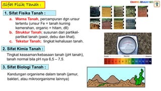 6. Pedosfer pembentukan profil tanah jenis dan konservasi tanah | PDF
