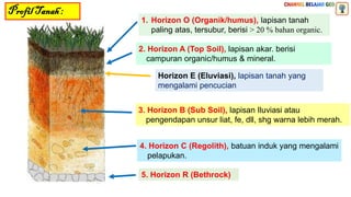 6. Pedosfer pembentukan profil tanah jenis dan konservasi tanah | PDF