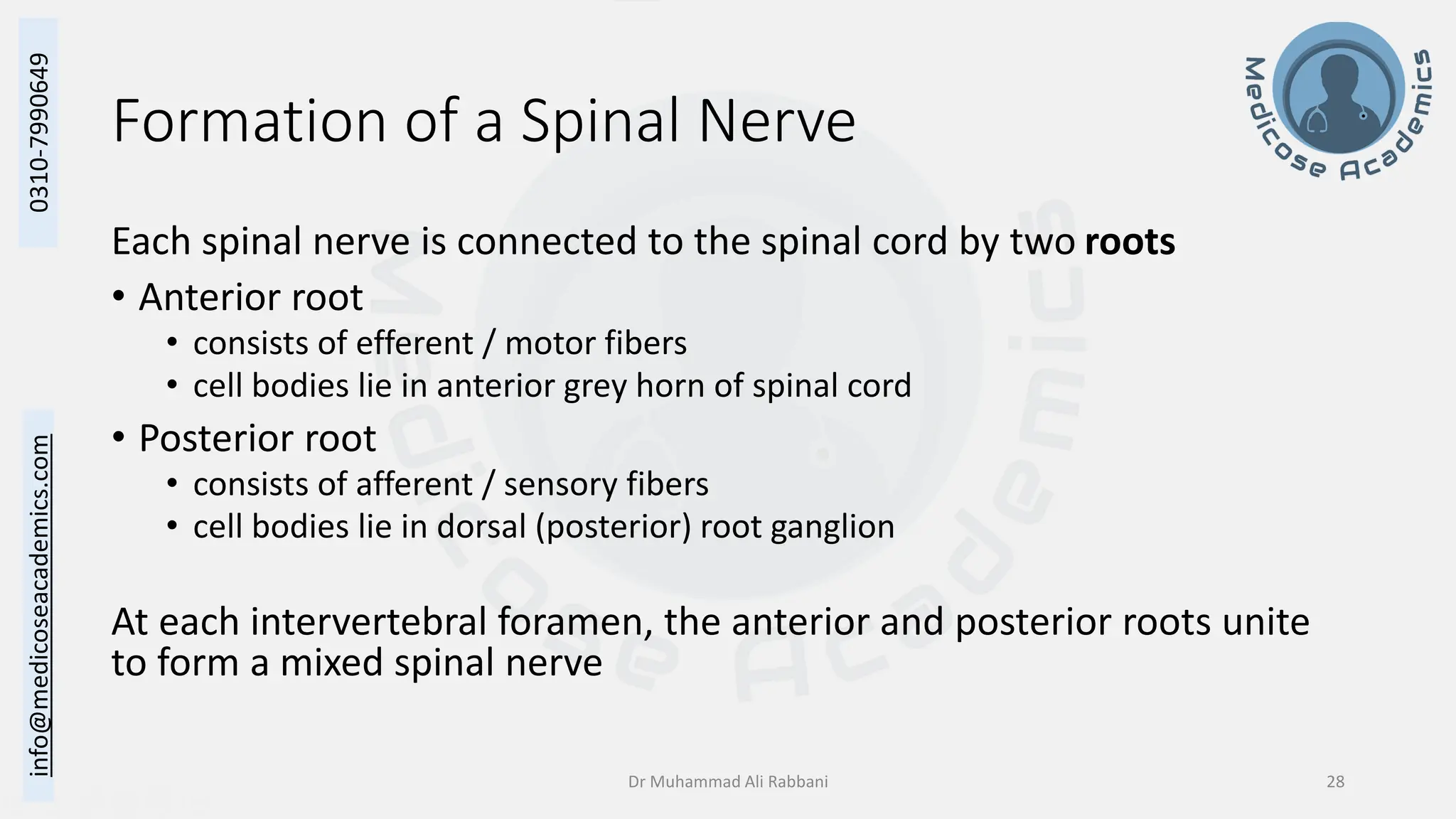 General Anatomy of Nervous System - Dr Muhammad Ali Rabbani | PDF