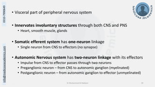 General Anatomy of Nervous System - Dr Muhammad Ali Rabbani | PDF