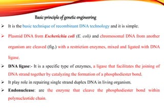 6. Brief introduction to genetic engineering.pptx