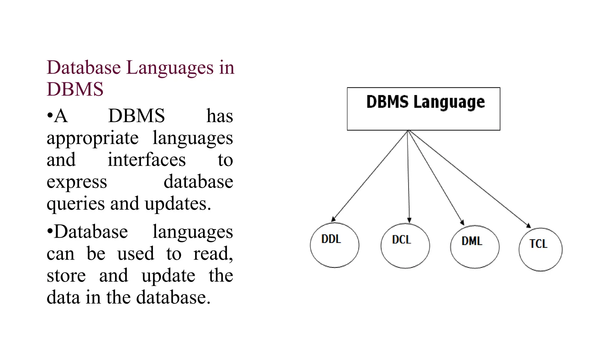 6.Database Languages lab-1.pptx | Databases | Computer Software and Applications