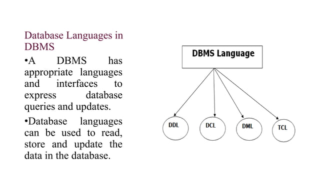 6.Database Languages lab-1.pptx