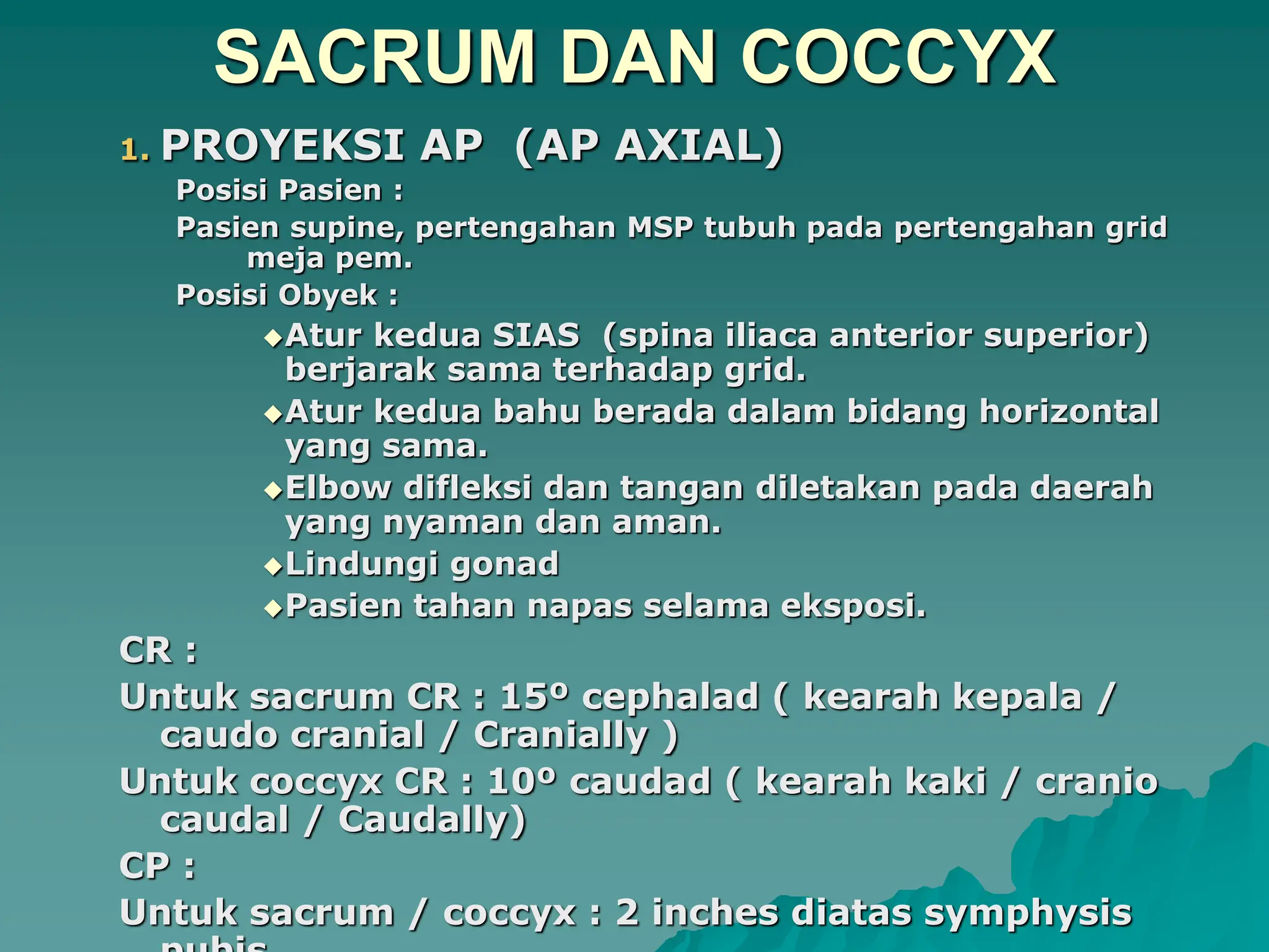 6. TR Sacrum dan coccyx-gs.ppt