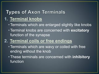 Synapse , physiology of synapses in very easy way | PPTX