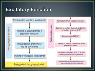 Synapse , physiology of synapses in very easy way | PPTX