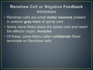 Synapse , physiology of synapses in very easy way | PPTX