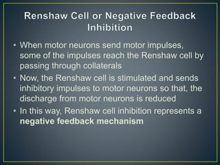 Synapse , physiology of synapses in very easy way | PPTX