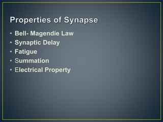 Synapse , physiology of synapses in very easy way | PPTX
