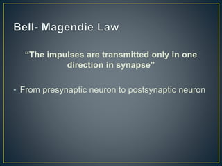 Synapse , physiology of synapses in very easy way | PPTX