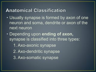 Synapse , physiology of synapses in very easy way | PPTX