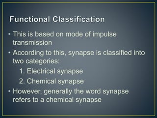 Synapse , physiology of synapses in very easy way | PPTX