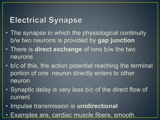 Synapse , physiology of synapses in very easy way | PPTX