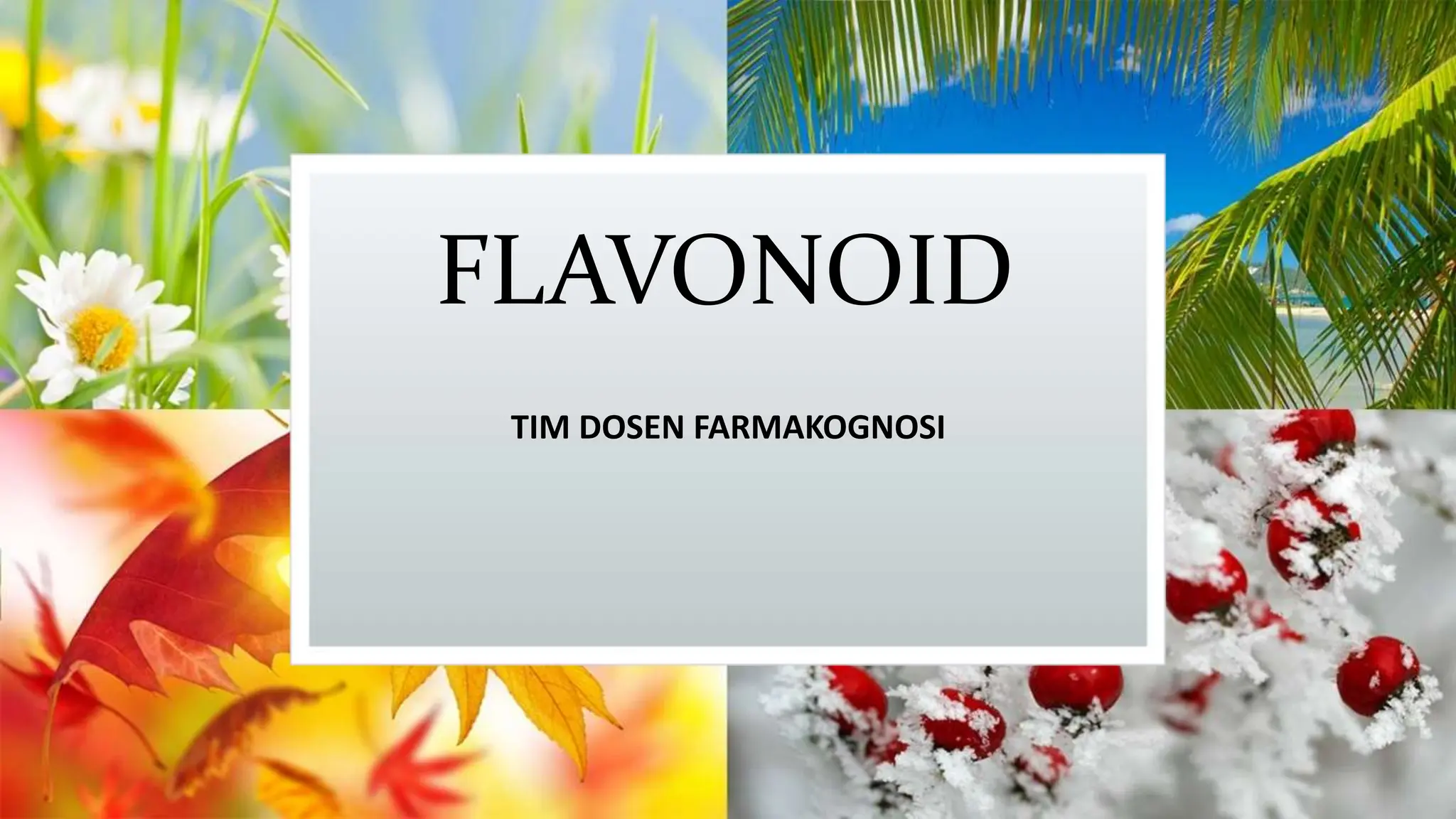 FLAVONOID (METABOLIT SEKUNDER)_FARMAKOGNOSI | PPT
