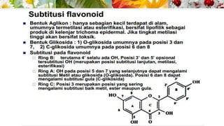 FLAVONOID (METABOLIT SEKUNDER)_FARMAKOGNOSI | PPT