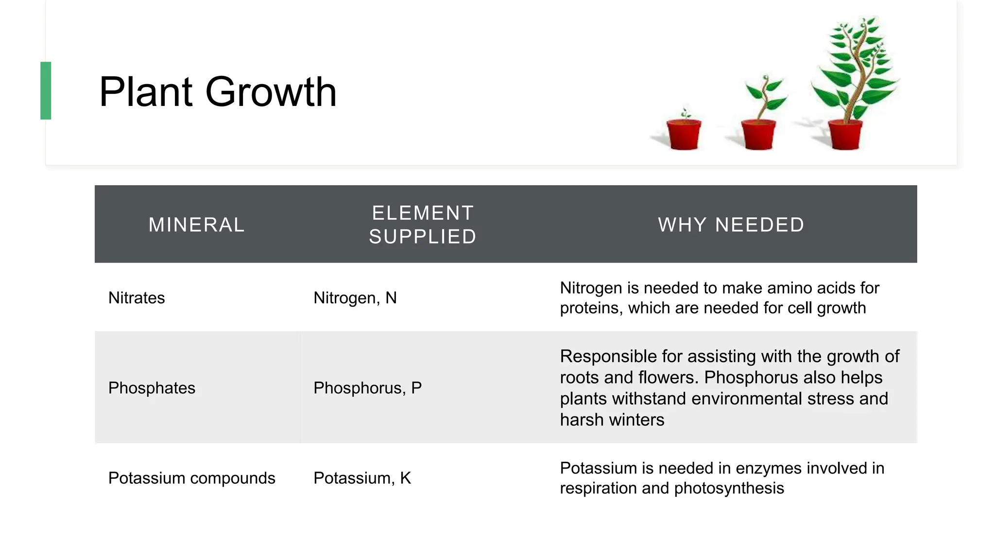 WHY DO WE NEED PLANTS - YEAR 8 PHOTOSYNTHESIS | PPTX