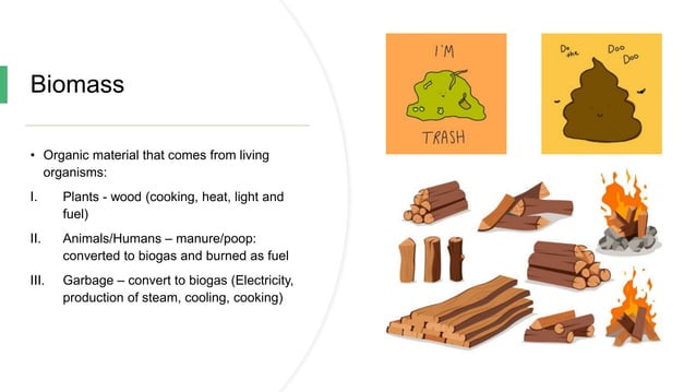 WHY DO WE NEED PLANTS - YEAR 8 PHOTOSYNTHESIS | PPTX | Gardening | Home ...