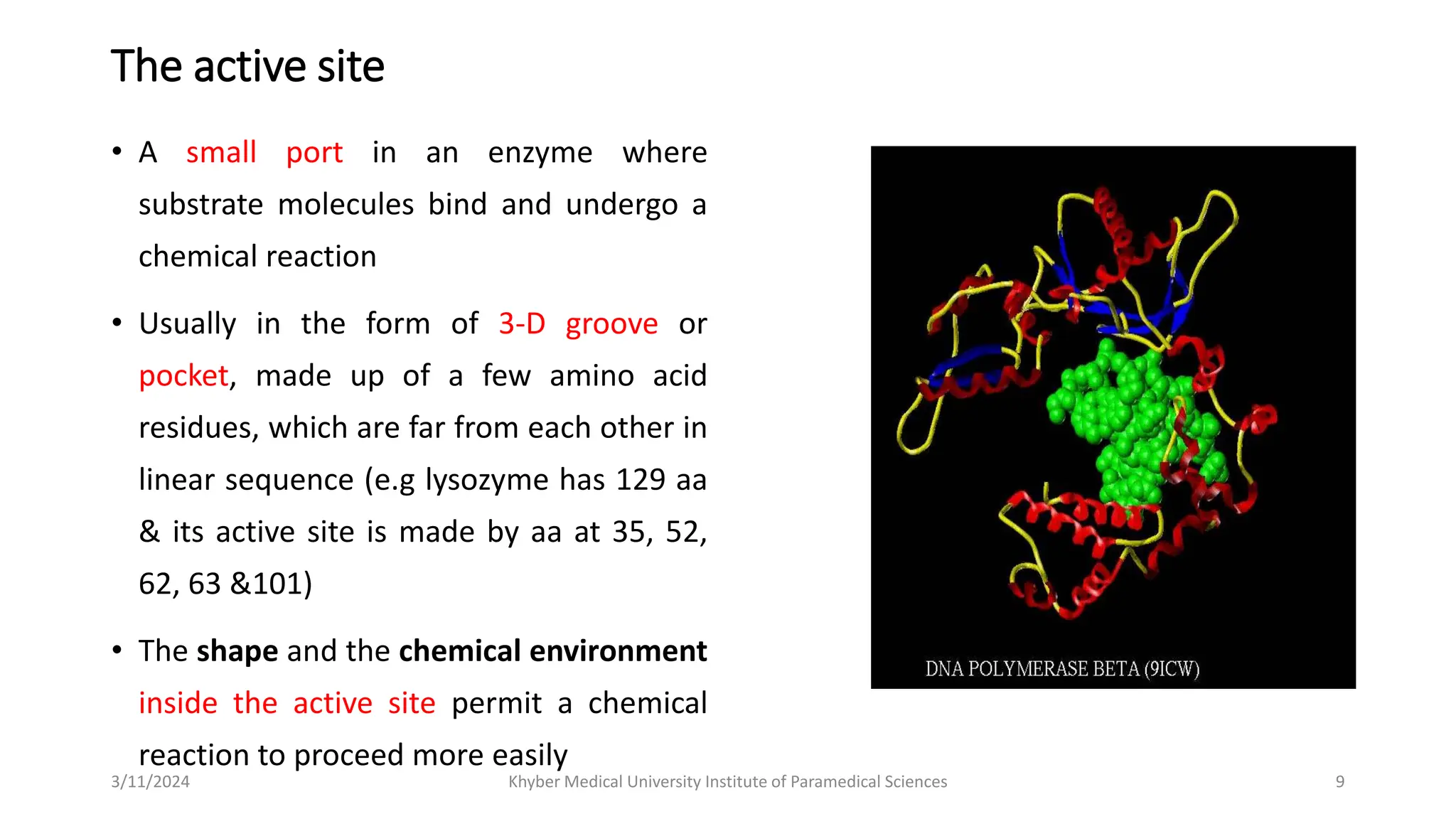 6. Enzymes.biochemistry of enzyme..pptx. | PPTX
