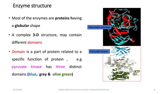 6. Enzymes.biochemistry of enzyme..pptx. | PPT