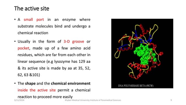 6. Enzymes.biochemistry of enzyme..pptx. | PPT