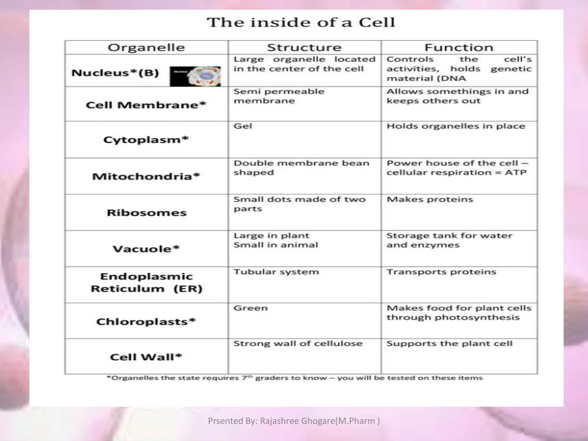 Cellular level of organization,Plant cell,animal cell | PPTX