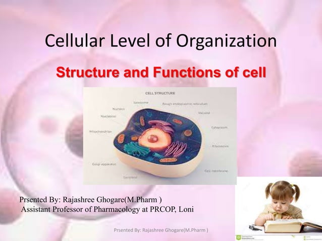 Cellular level of organization,Plant cell,animal cell | PPT