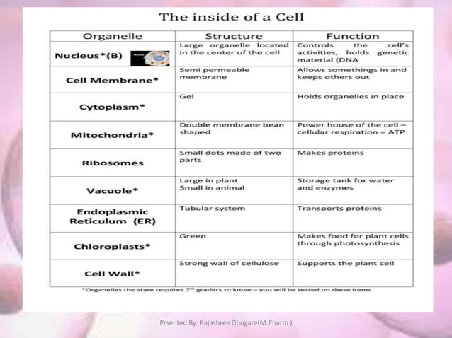 Cellular level of organization,Plant cell,animal cell | PPT