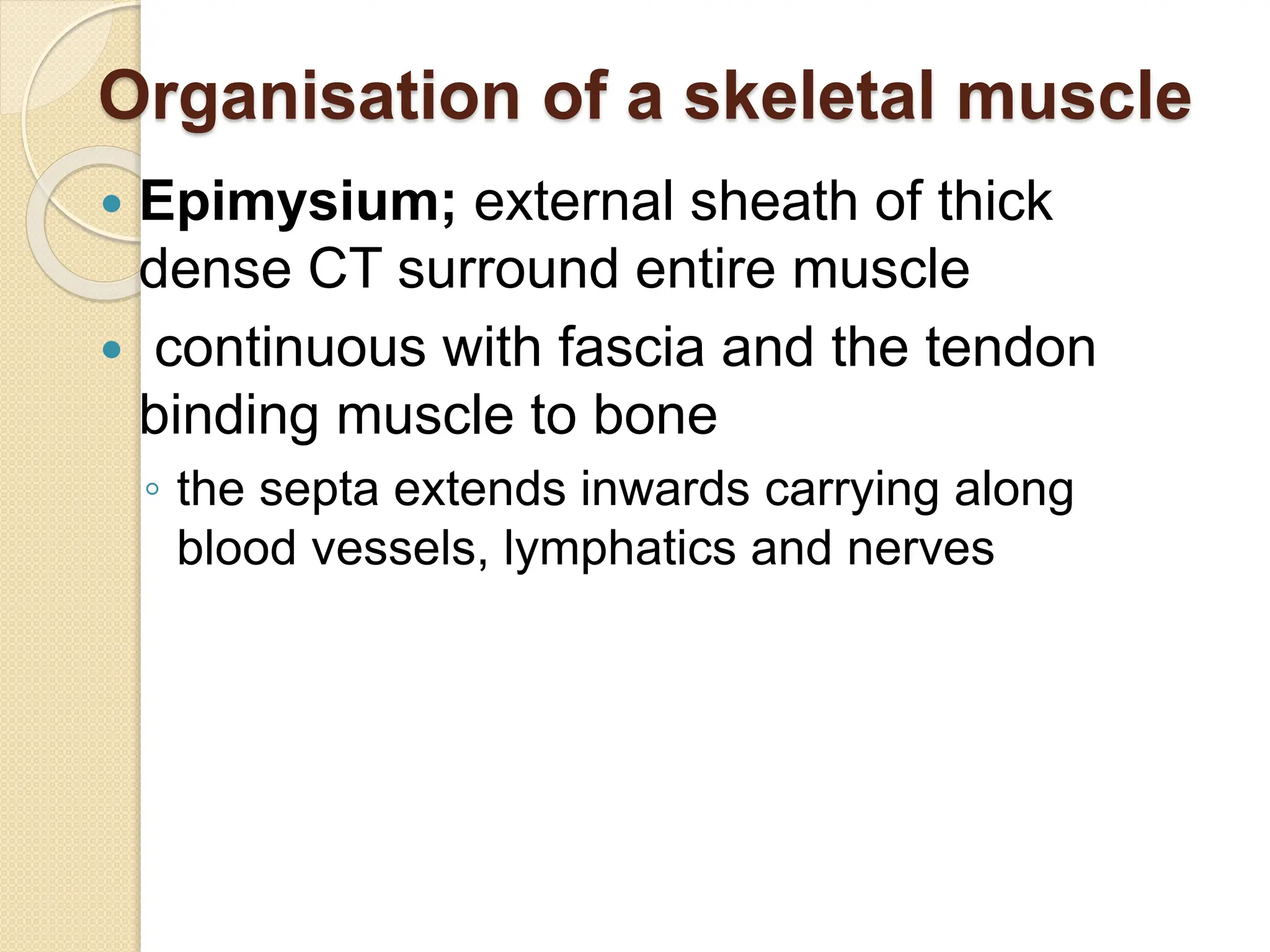 6. MUSCLE TISSUE. MEDICAL studies for pptx | PPTX