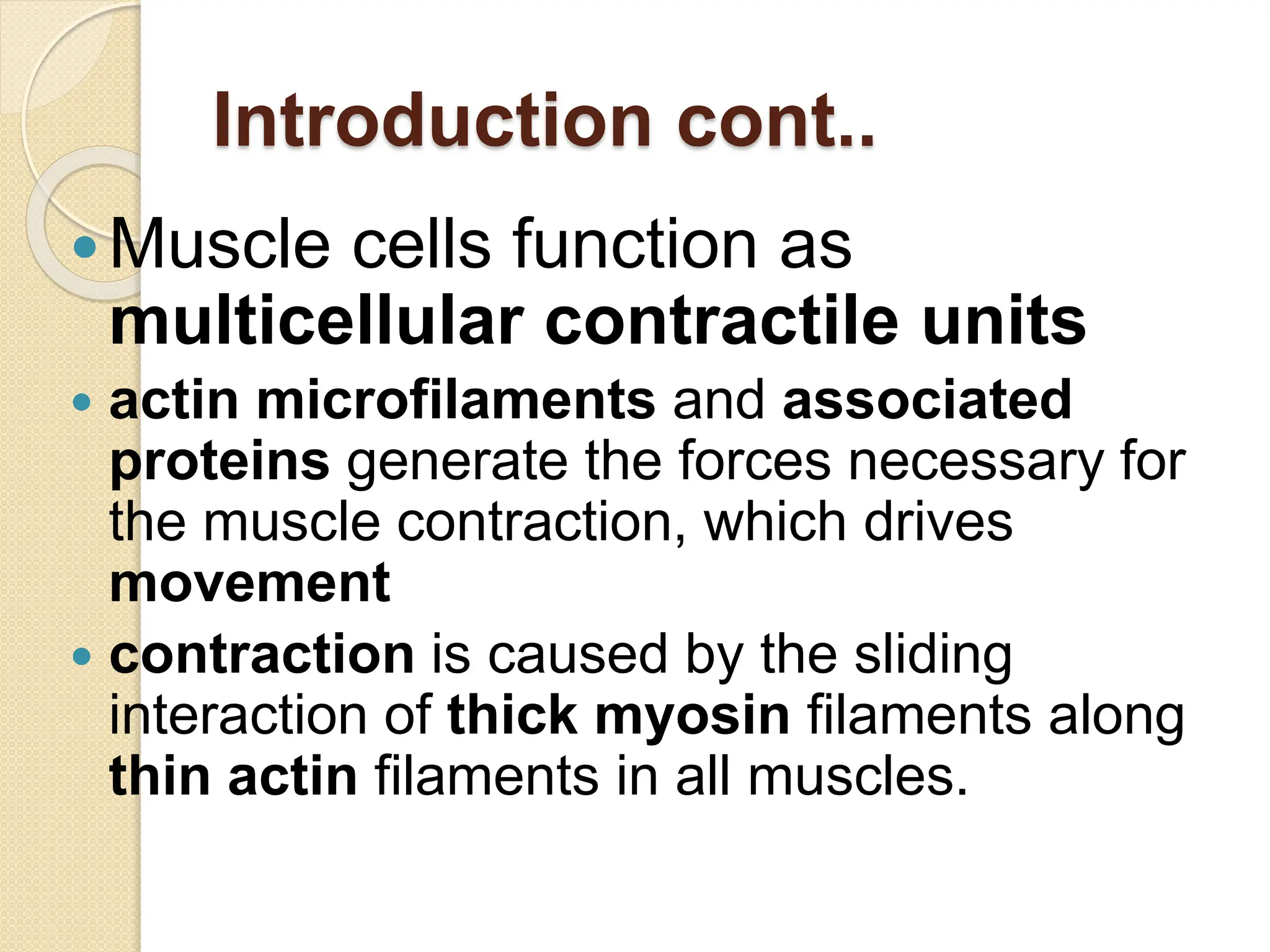 6. MUSCLE TISSUE. MEDICAL studies for pptx | PPTX