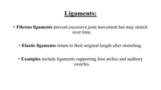 6.pptx: Understanding Joint Stability: Factors and Mechanisms | PPT