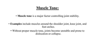 6.pptx: Understanding Joint Stability: Factors and Mechanisms | PPT
