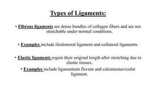 6.pptx: Understanding Joint Stability: Factors and Mechanisms | PPT