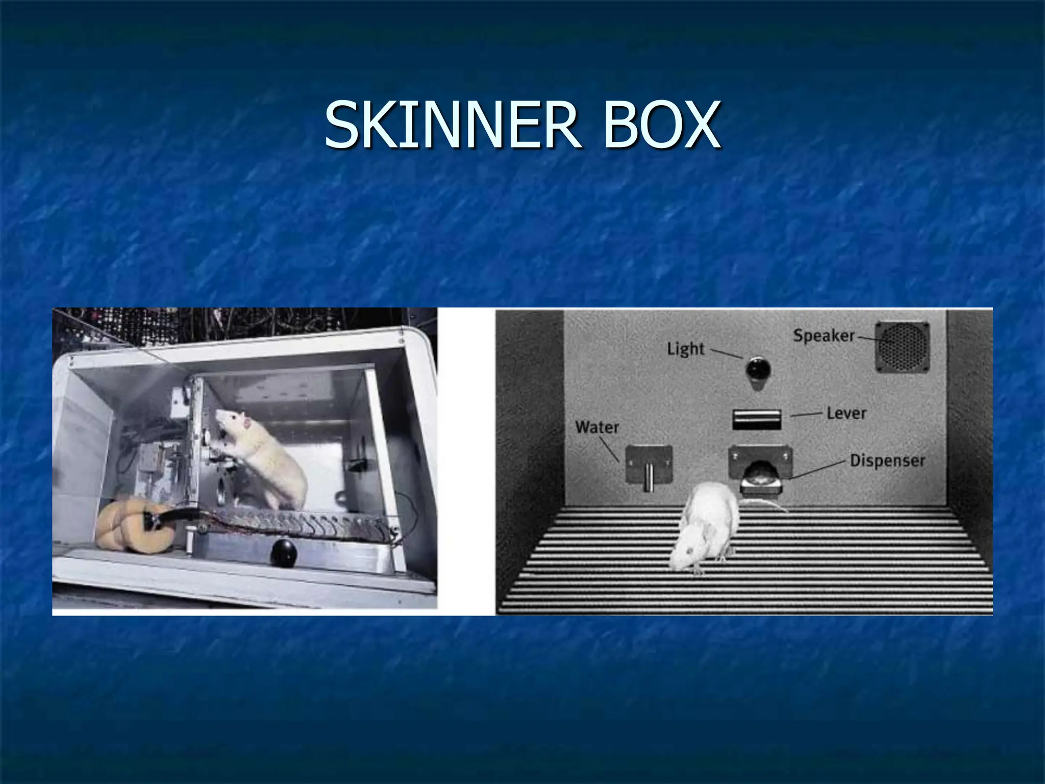 Operant Conditioning in Psychology of skinner.ppt