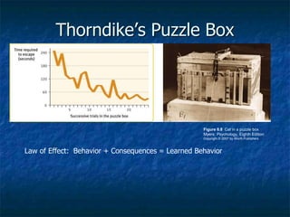 Operant Conditioning in Psychology of skinner.ppt