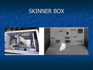 Operant Conditioning in Psychology of skinner.ppt