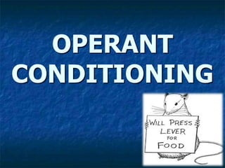 Operant Conditioning Examples