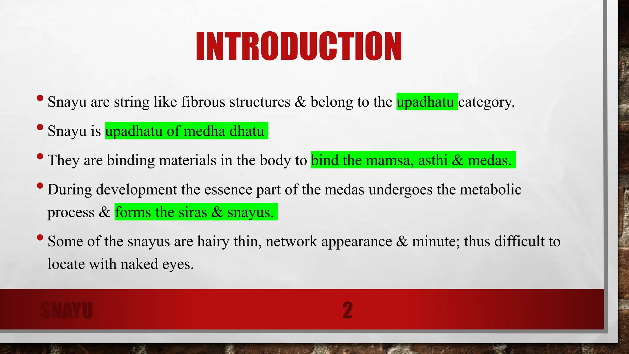 SNAYU SHAREERA OF SHAREERA RACHANA BY DR AJITH KUMAR | PPTX