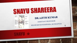 SNAYU SHAREERA OF SHAREERA RACHANA BY DR AJITH KUMAR | PPTX