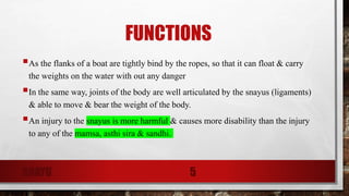 SNAYU SHAREERA OF SHAREERA RACHANA BY DR AJITH KUMAR | PPTX