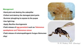 6.1 Pests of Groundnut_Binomics_Identification_Dr.UPR