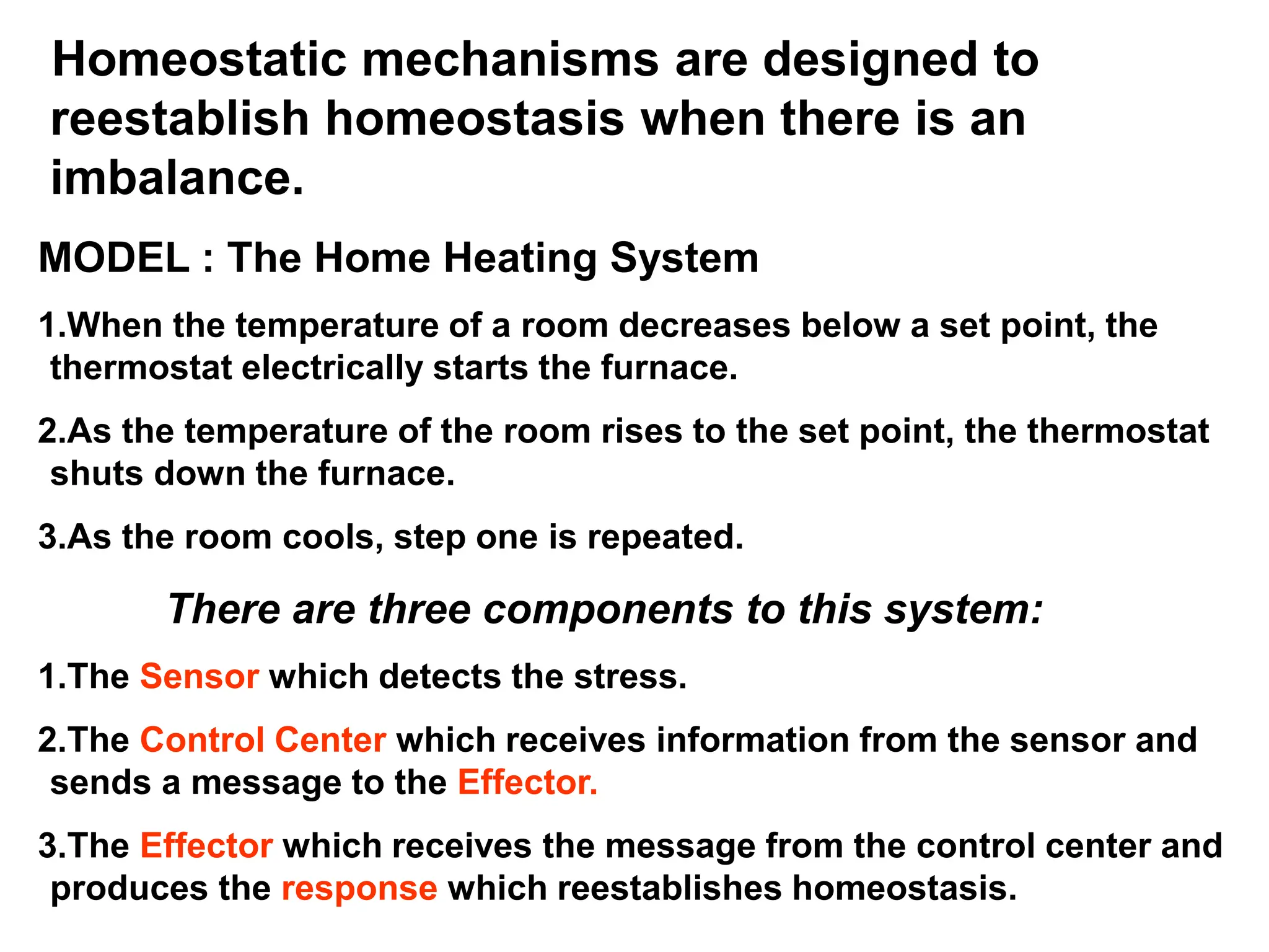 6. Body regulation.Homeostasis and adaptation to the environment.ppt